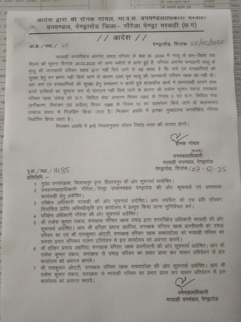 भालू की मौत पर वन विभाग का कड़ा एक्शन : बीट गार्ड निलंबित, डिप्टी रेंजर ...